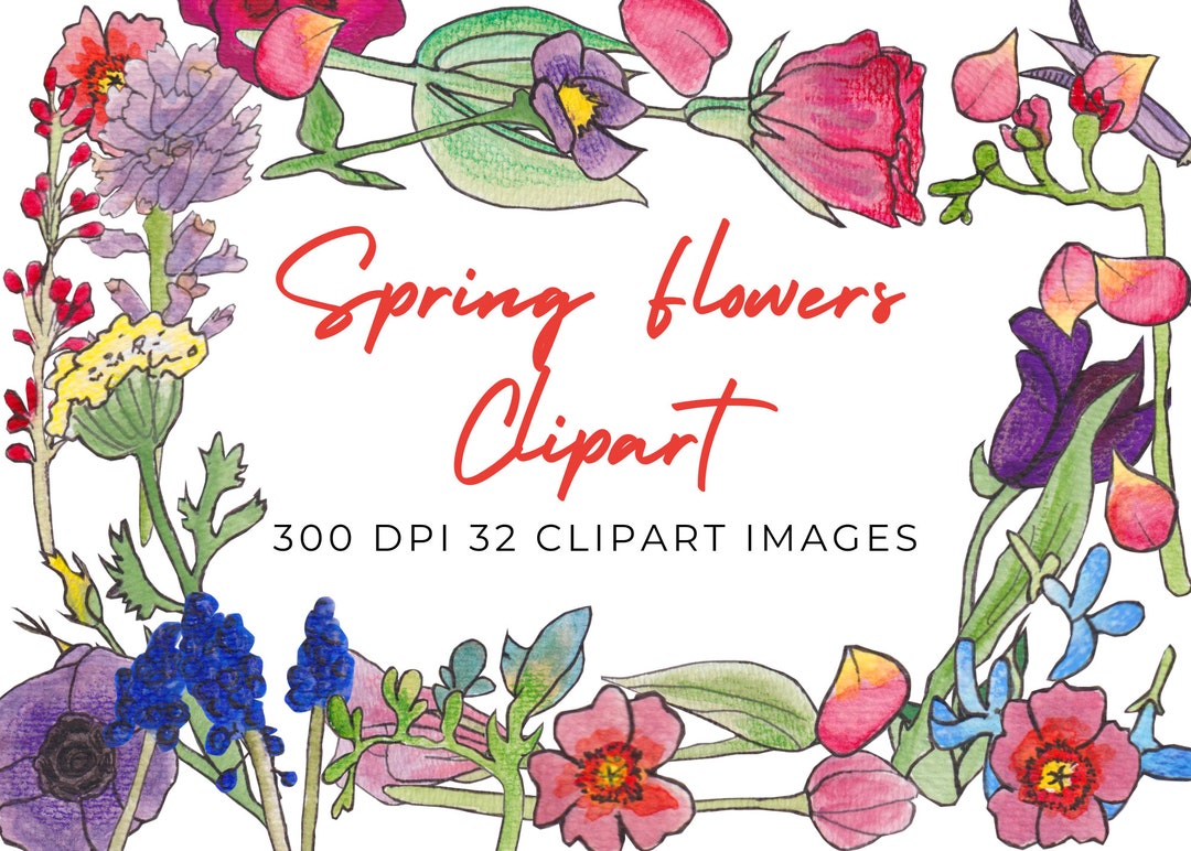 Spring Flowers Watercolor Clipart, Instant Download, Spring Decoration ...