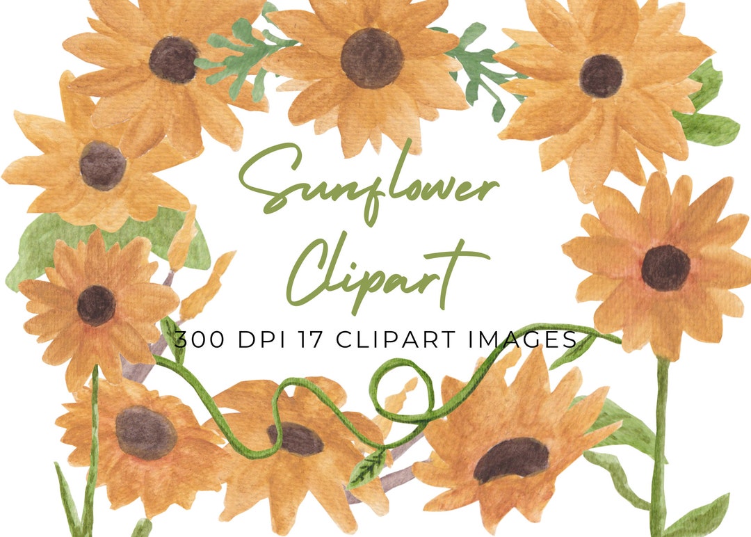 Sunflower Watercolor Clipart, Instant Download, Flowers, Summer ...