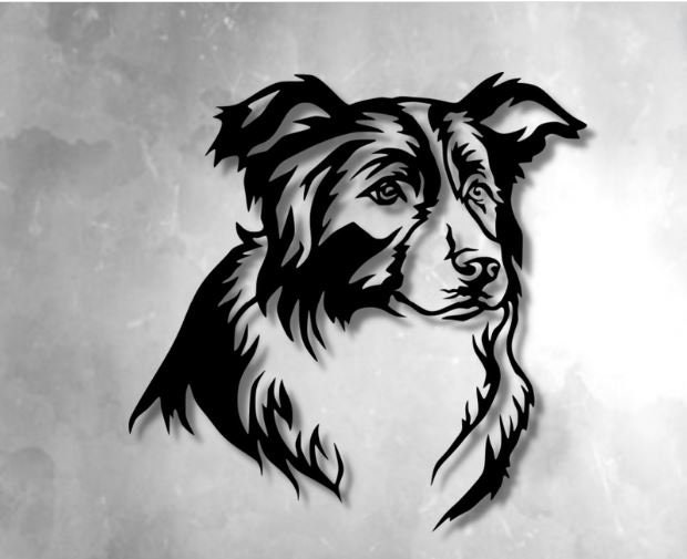 Border Collie Dxf Svg Png Files Dog Face Border - Etsy Australia