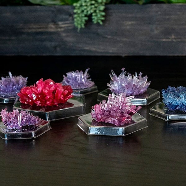 Crystal Growing Kit for Kids - Etsy