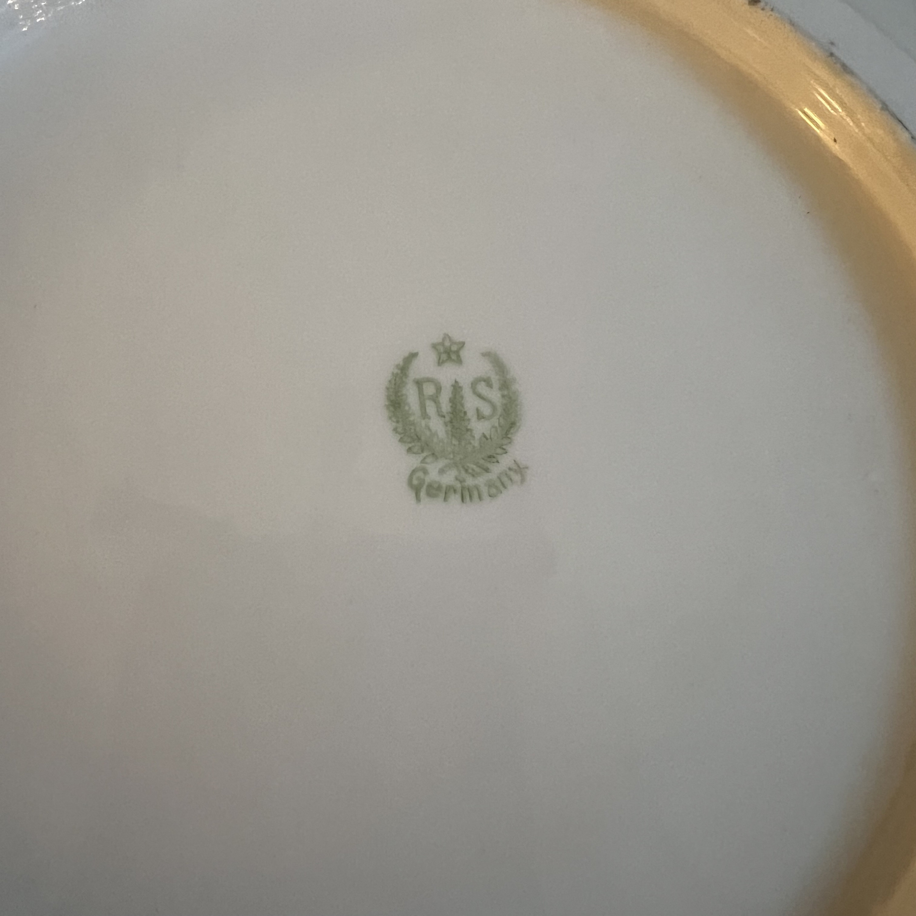 Vintage RS Germany Hand Painted Poppy Plate - Etsy