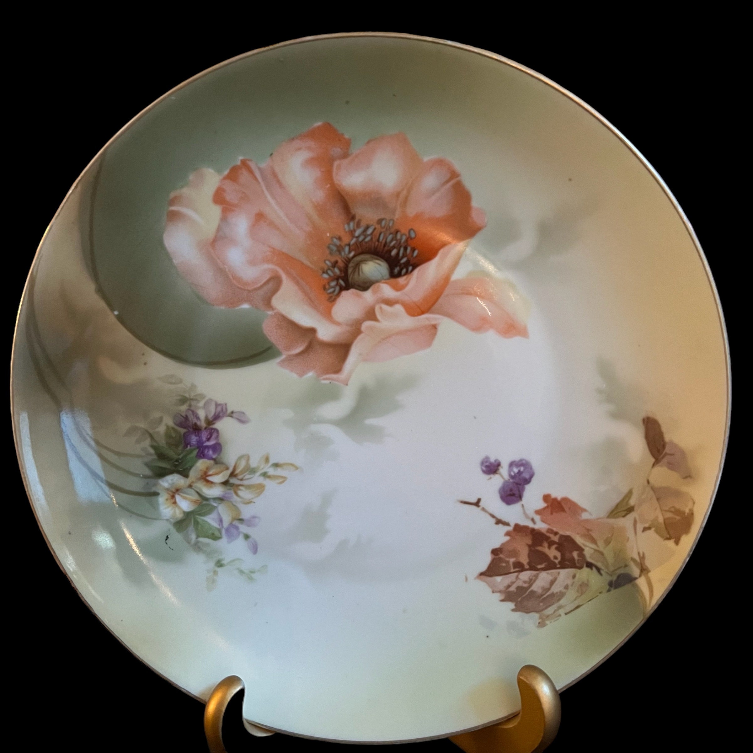 Vintage RS Germany Hand Painted Poppy Plate - Etsy