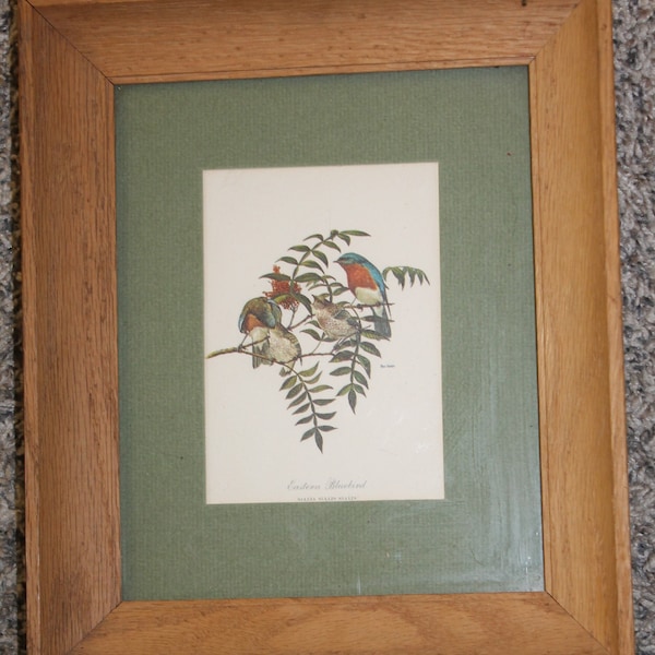 Ray Harm Print - Etsy