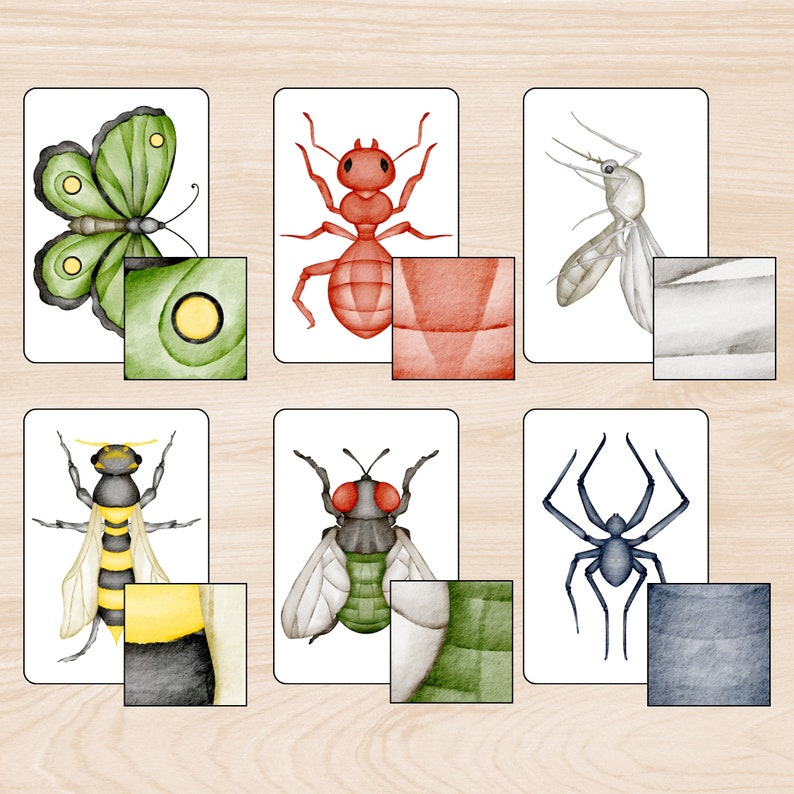 Insect Pattern Match Activity, Printable Insect Educational Activity ...