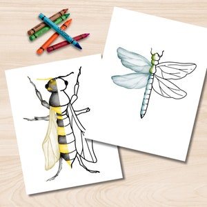 Preschool Spring Insect Unit Bundle, Educational Printable Insect ...