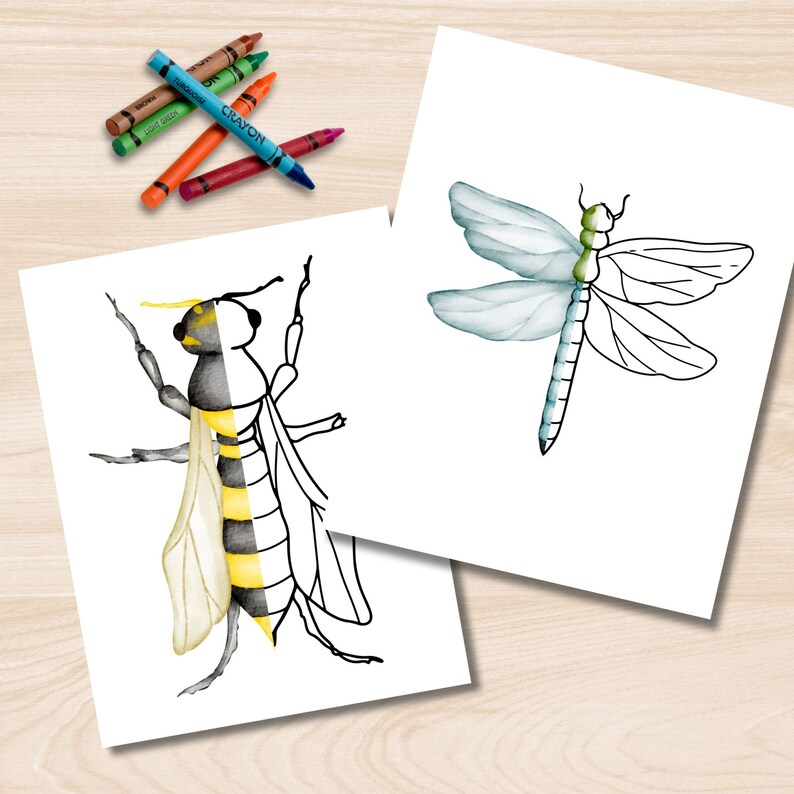 Preschool Spring Insect Unit Bundle, Educational Printable Insect ...