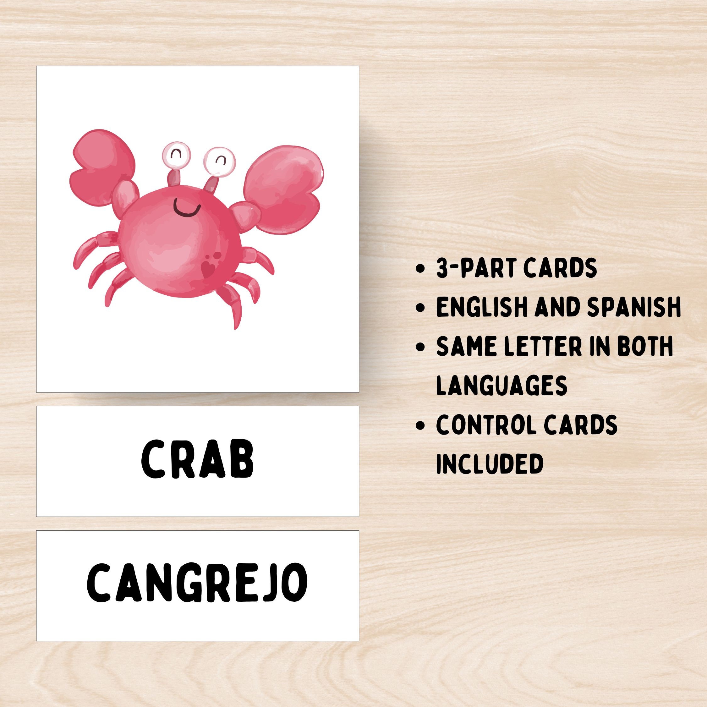 A-Z Bilingual Alphabet Flash Cards, English and Spanish Flash Cards for ...