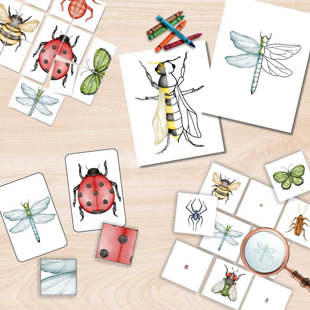 Preschool Spring Insect Unit Bundle, Educational Printable Insect ...