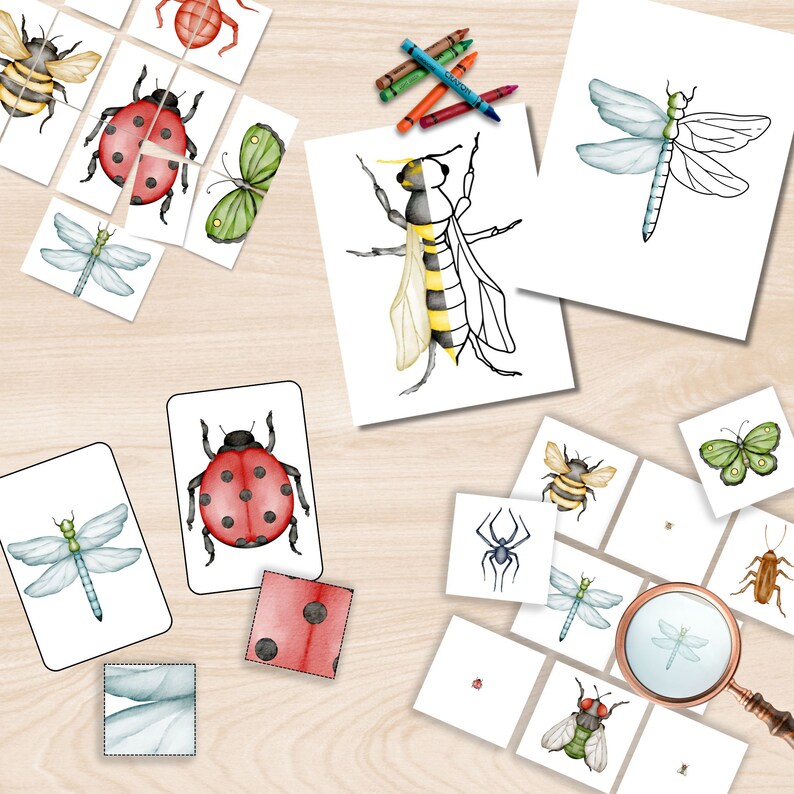 Preschool Spring Insect Unit Bundle, Educational Printable Insect ...