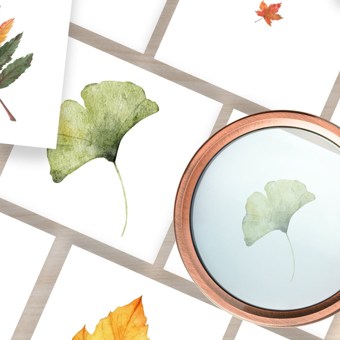 Leaf Magnifying Glass Matching Activity, Preschool Autumn Activity ...