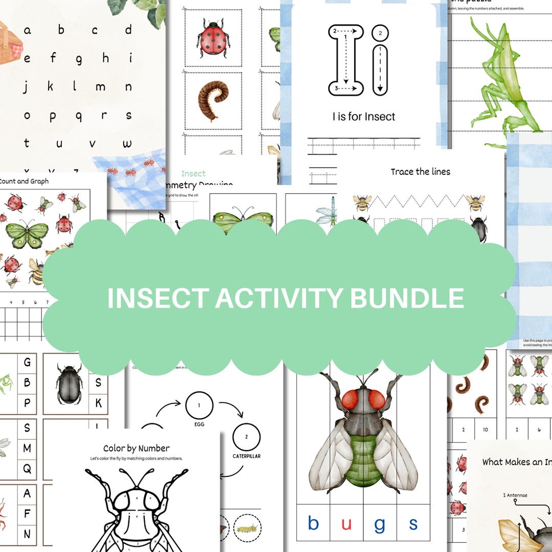 Insect Study Unit Activity Bundle, Printable Digital Download ...