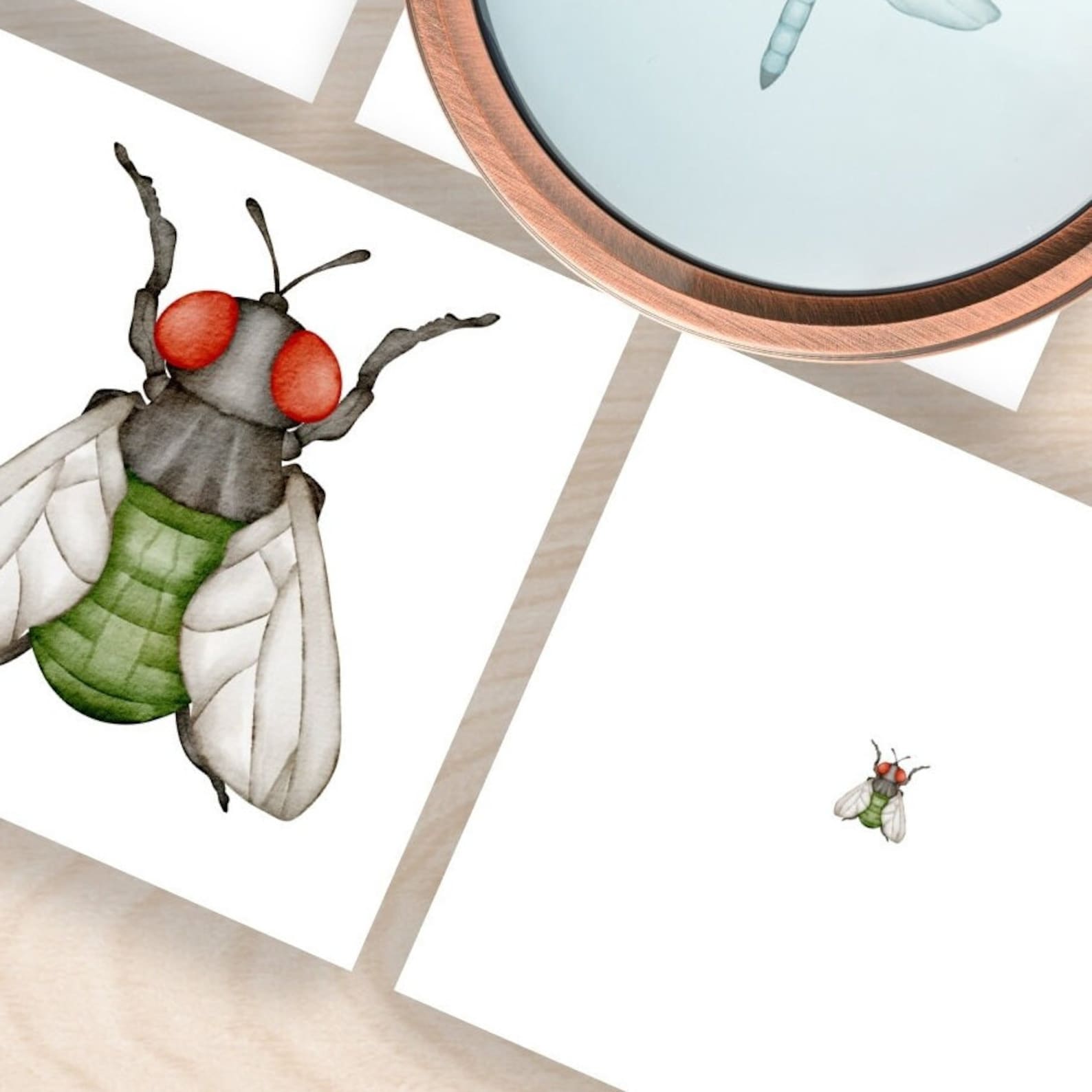 Insect Magnifying Glass Matching Activity, Preschool Spring Activity ...