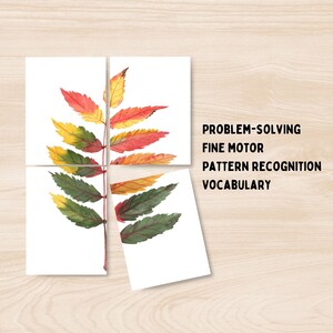 Leaf Puzzle Activity Printable, Preschool Leaf 4 Piece Puzzle Game ...