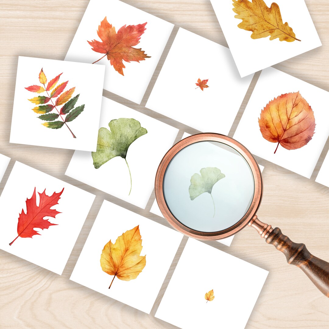 Leaf Magnifying Glass Matching Activity, Preschool Autumn Activity ...