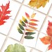 Leaf Puzzle Activity Printable, Preschool Leaf 4 Piece Puzzle Game ...