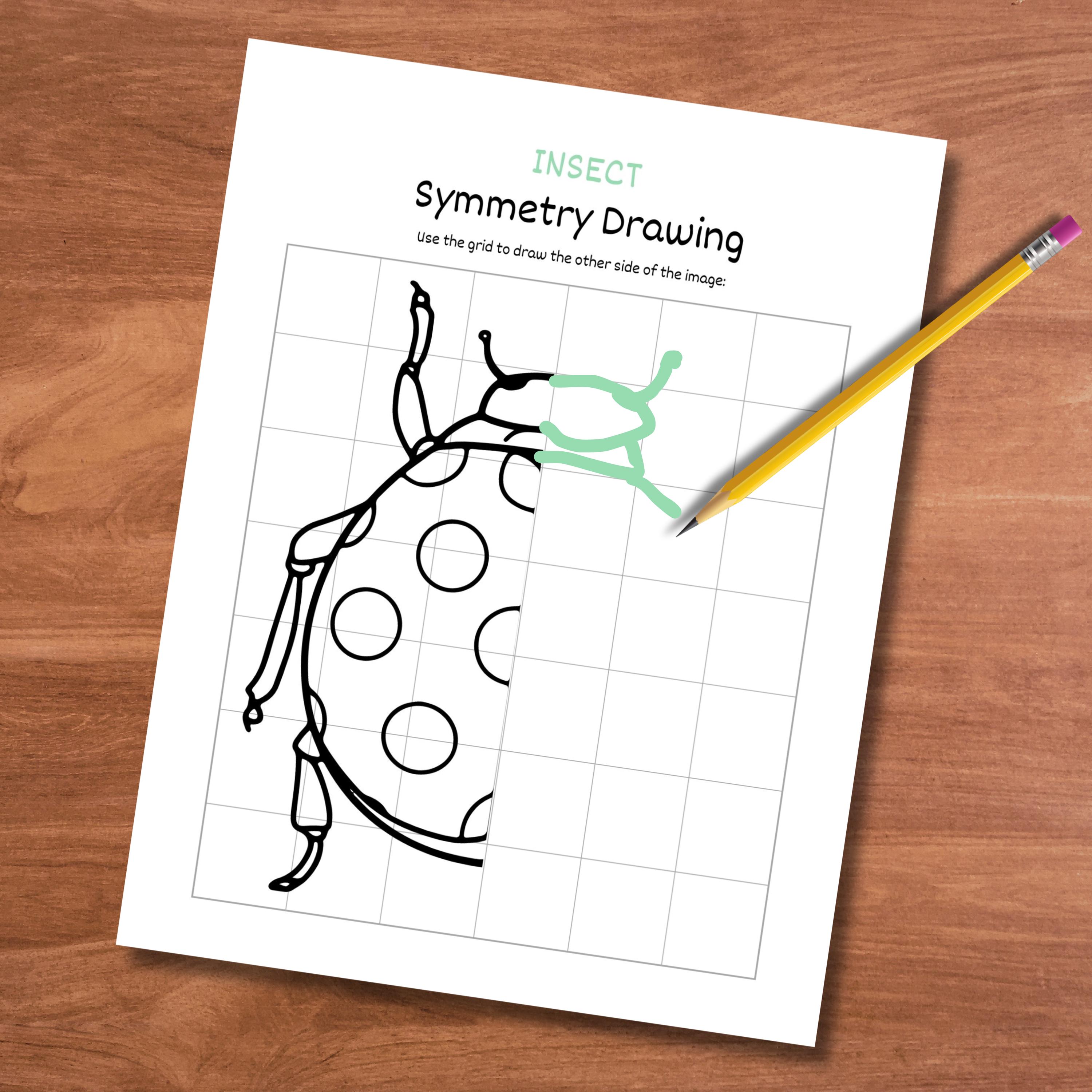 Insect Symmetry Printable Activity for Prek, Pre-writing Skills, Bugs ...