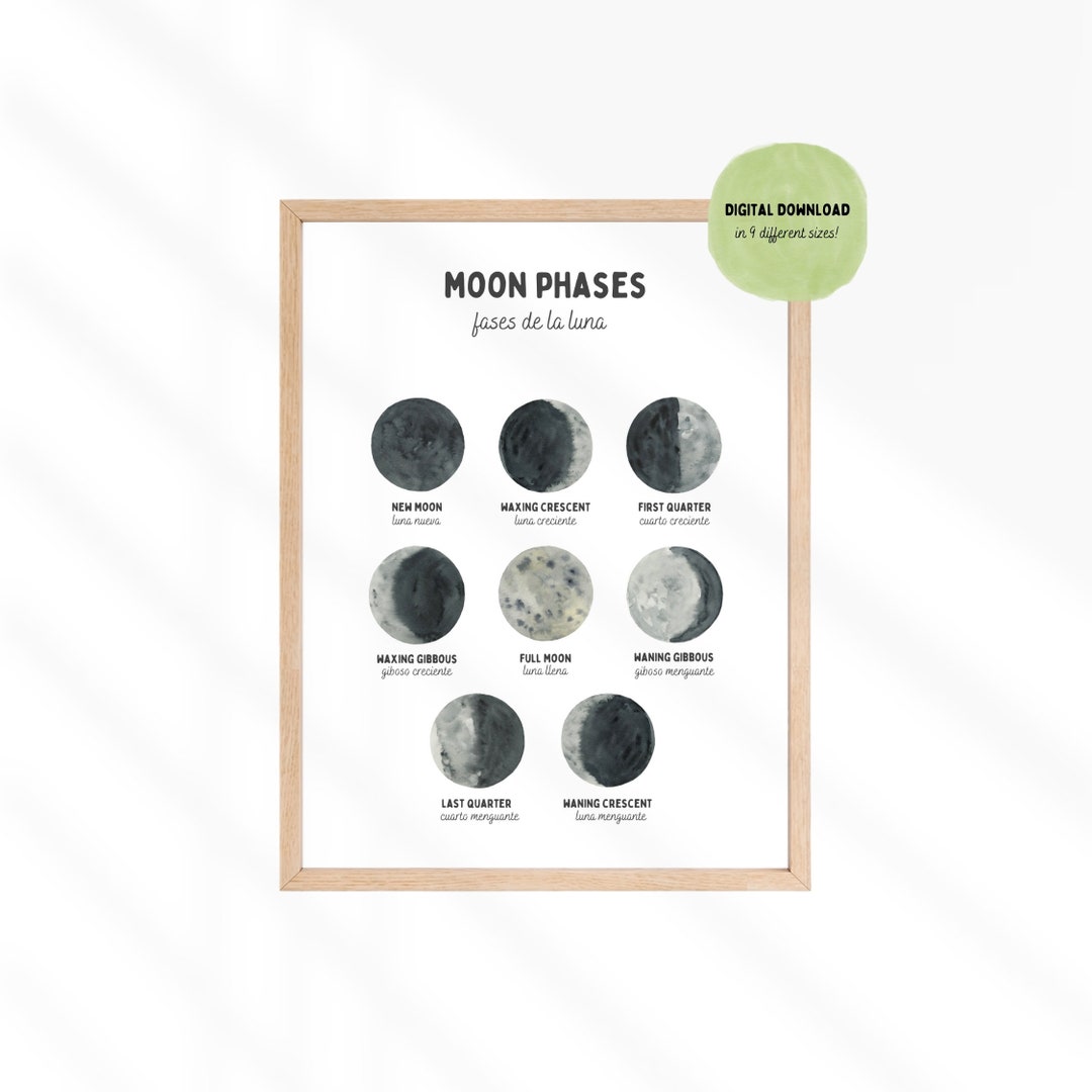 Spanish Moon Phase Educational Printable Poster, Bilingual Spanish ...