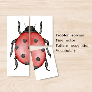 Insect Puzzle Activity Printable, Preschool Insect 4 Piece Puzzle Game ...