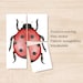 Insect Puzzle Activity Printable, Preschool Insect 4 Piece Puzzle Game ...