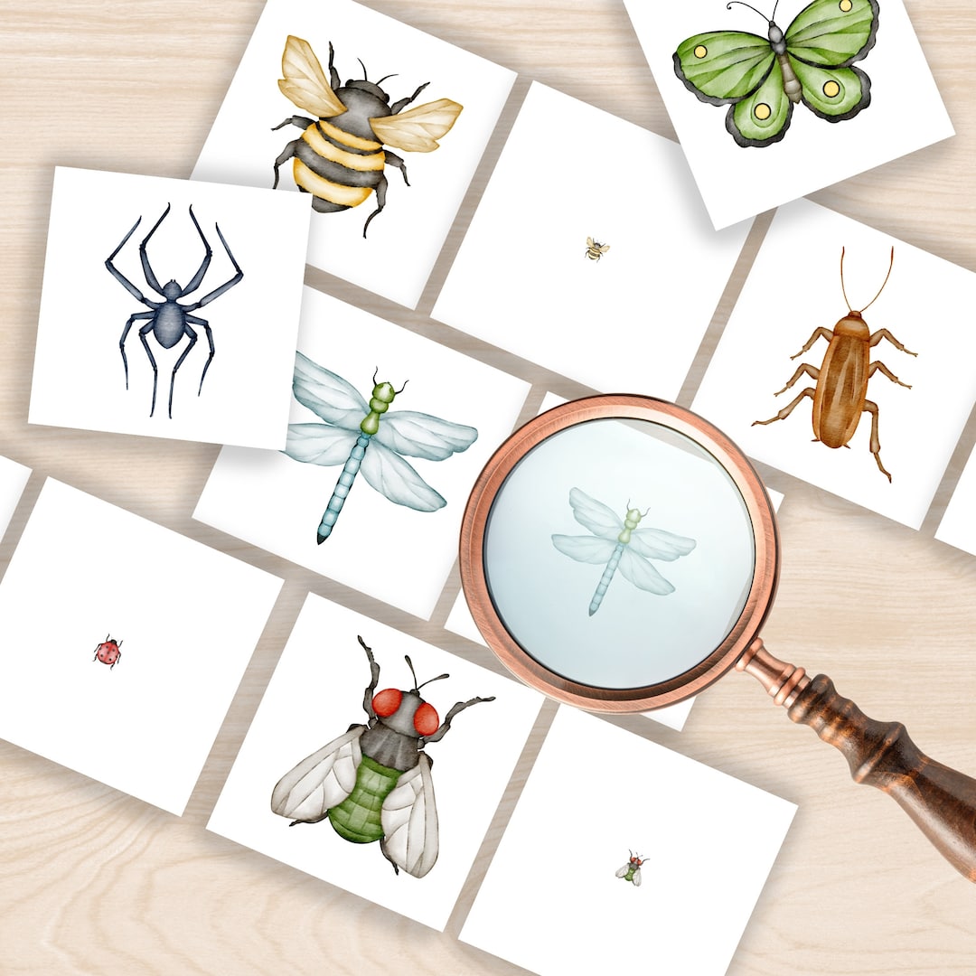 Insect Magnifying Glass Matching Activity, Preschool Spring Activity ...