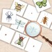 Insect Magnifying Glass Matching Activity, Preschool Spring Activity ...