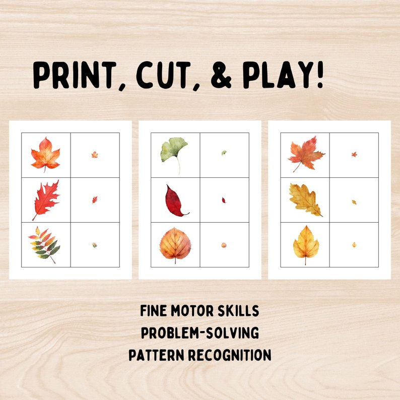 Leaf Magnifying Glass Matching Activity, Preschool Autumn Activity ...