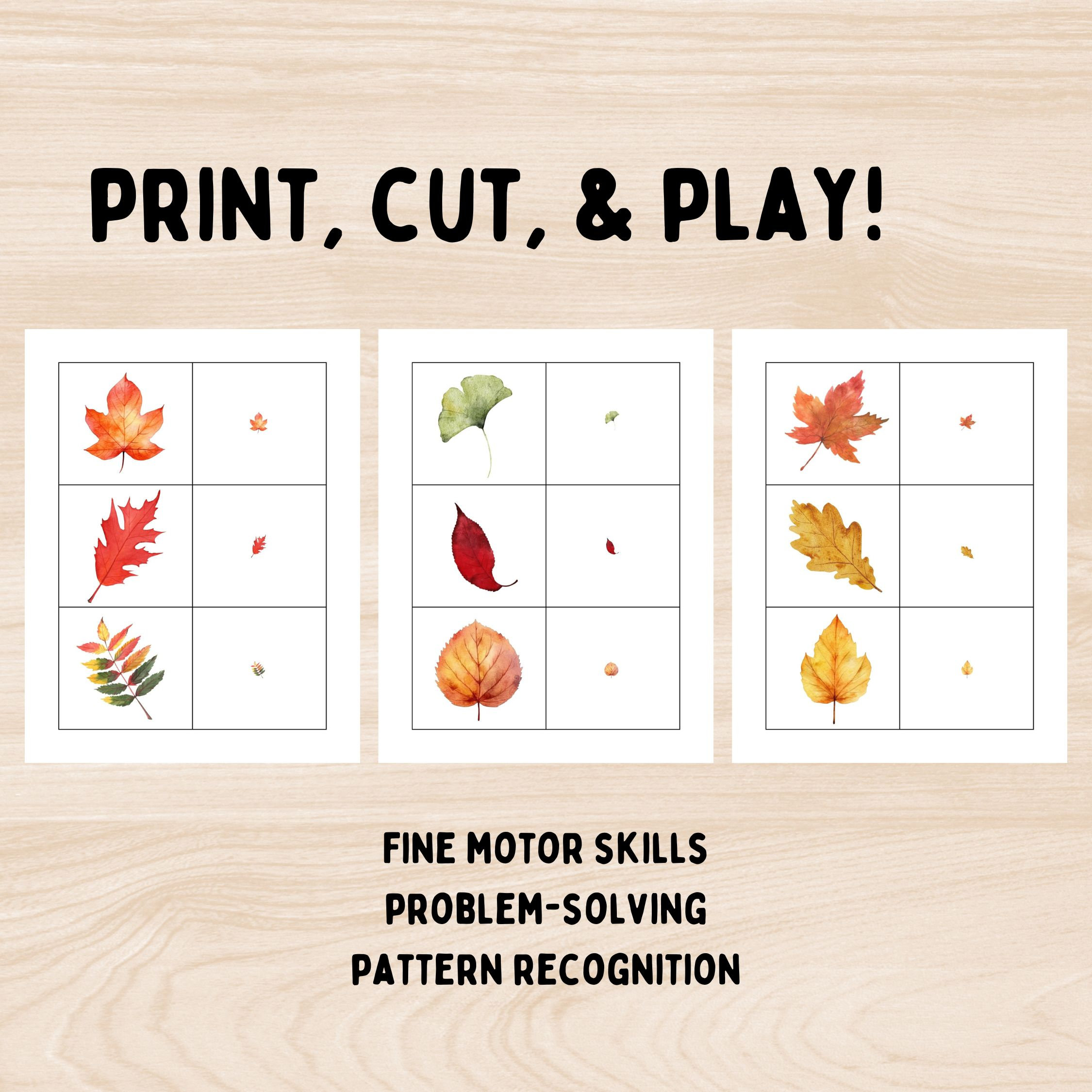 Leaf Magnifying Glass Matching Activity, Preschool Autumn Activity ...