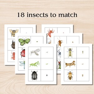 Insect Magnifying Glass Matching Activity, Preschool Spring Activity ...