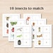 Insect Magnifying Glass Matching Activity, Preschool Spring Activity ...