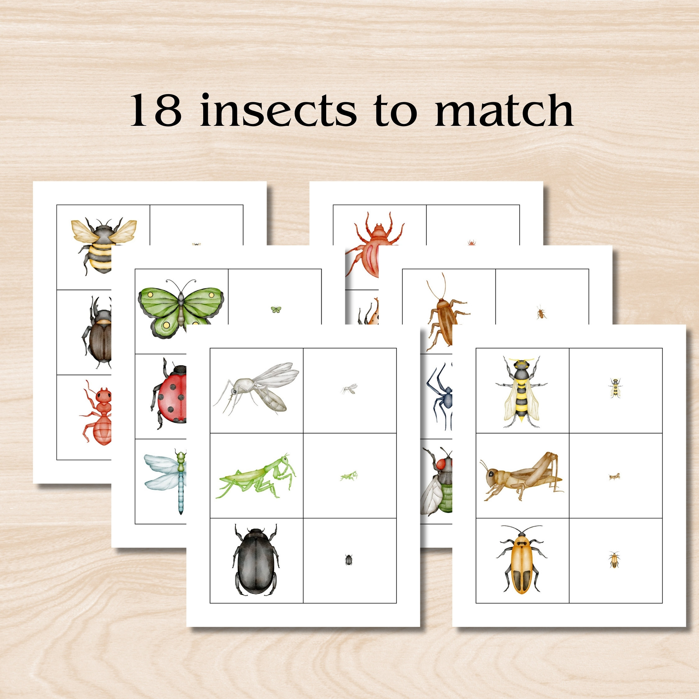 Insect Magnifying Glass Matching Activity, Preschool Spring Activity ...