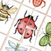 Insect Puzzle Activity Printable, Preschool Insect 4 Piece Puzzle Game ...