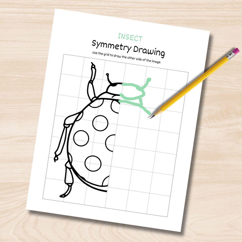 Insect Symmetry Printable Activity for Prek, Pre-writing Skills, Bugs ...