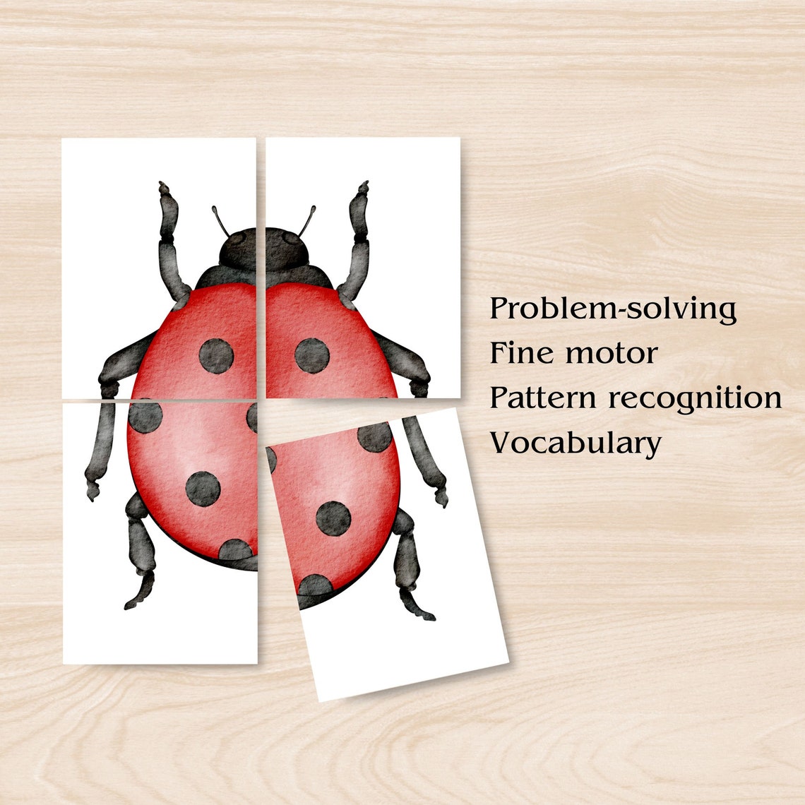 Preschool Spring Insect Unit Bundle, Educational Printable Insect ...