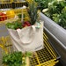 Eco-friendly White Cotton Tote Bag for Produce, Groceries and Farmers ...