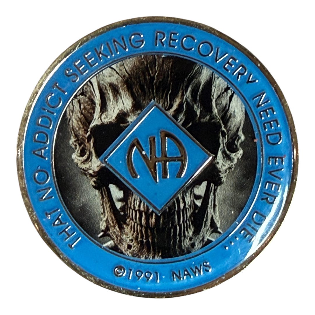Skull NA Medallion – Custom Clean Time Chip – Sobriety Coin for ...