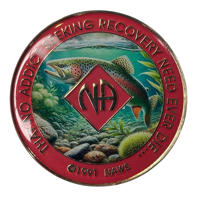 Na Rainbow Coin - Etsy