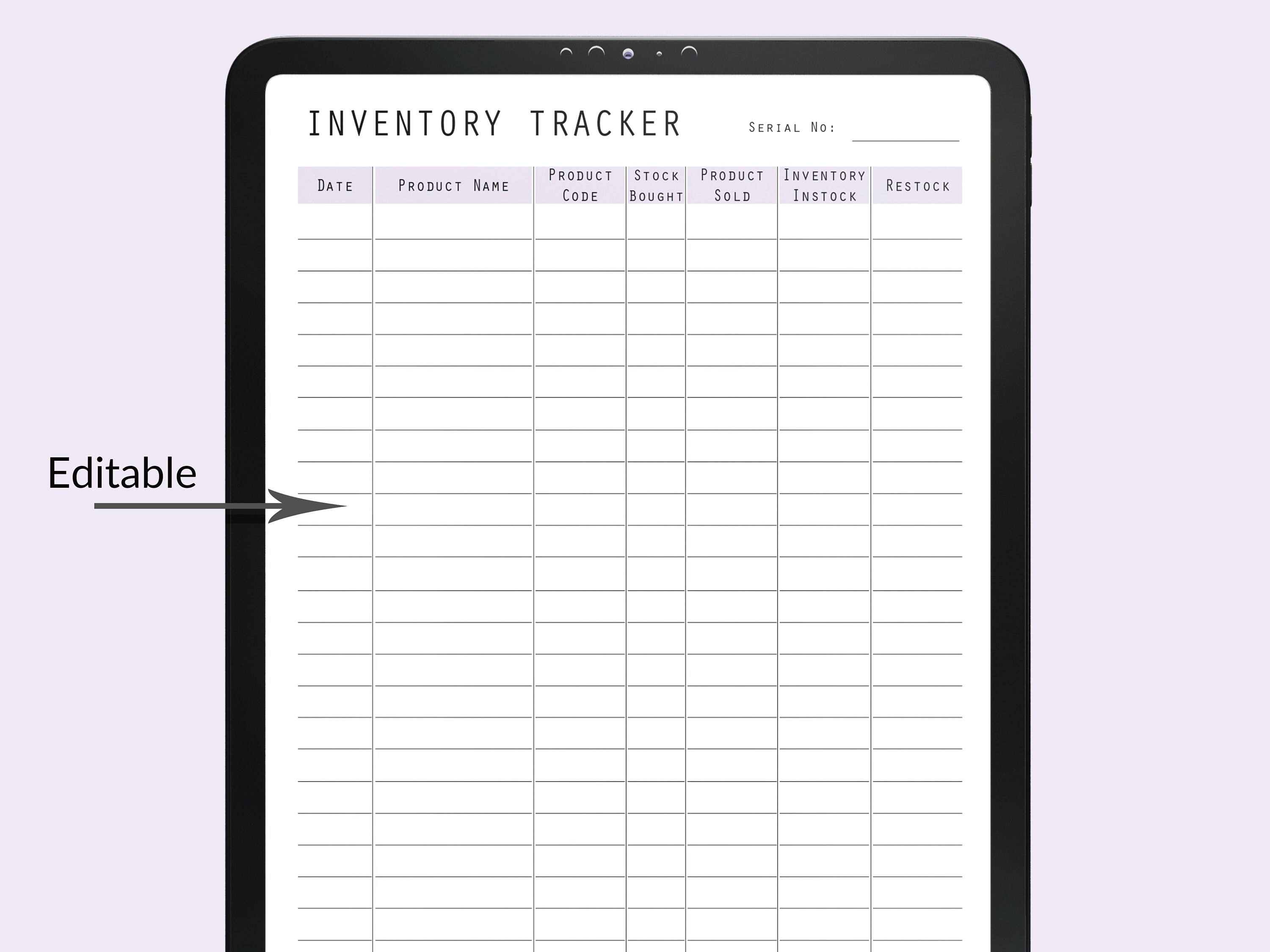 Editable Inventory Log, Inventory Tracker, Product Inventory, Inventory ...