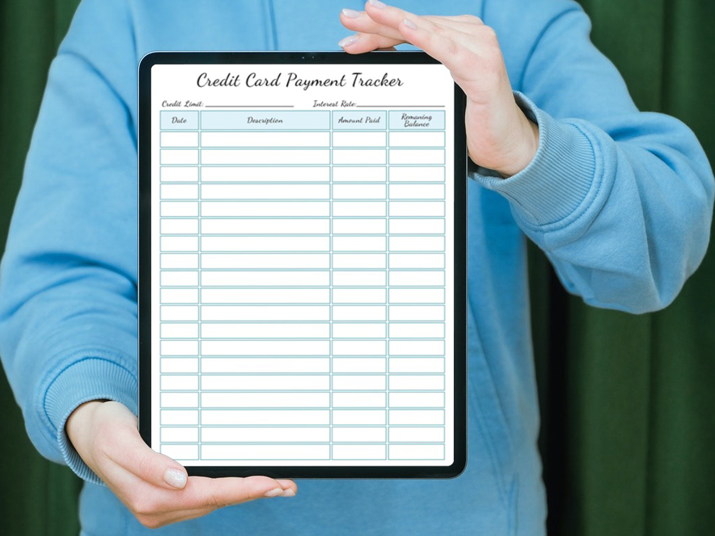 Printable Credit Card Payment Tracker, Credit Card Payment Plan - Etsy