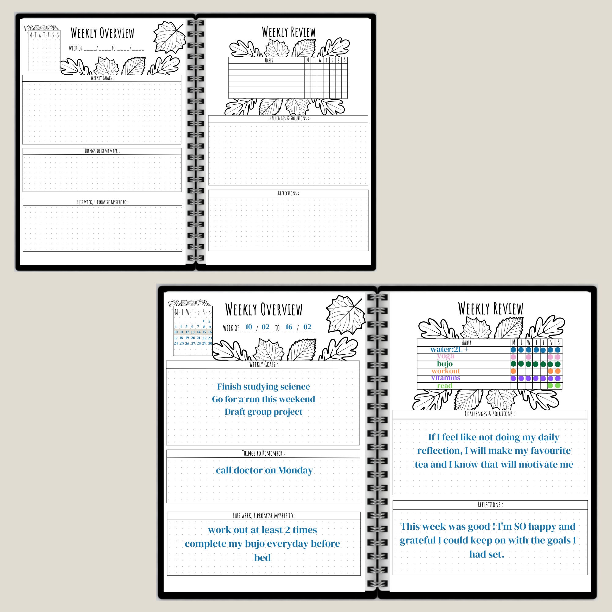 Printable Bullett Journal Printable Fall Autumn Goal Spread Flower ...