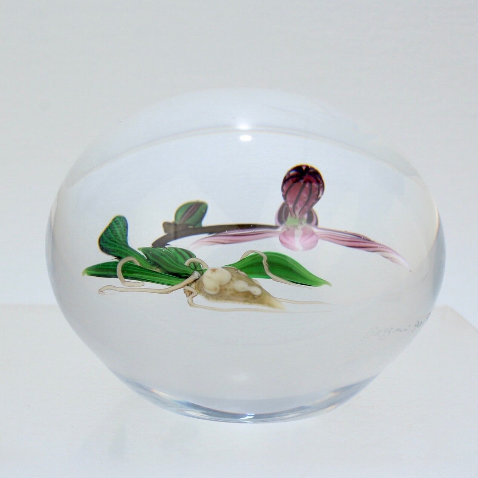 Chris Buzzini Artist-proof Orchid Flower and Roots Art Glass ...