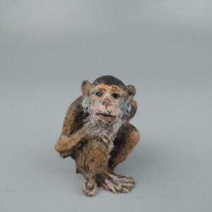 Cold Painted Vienna Bronze of a Seated Monkey or Chimpanzee - Austrian ...