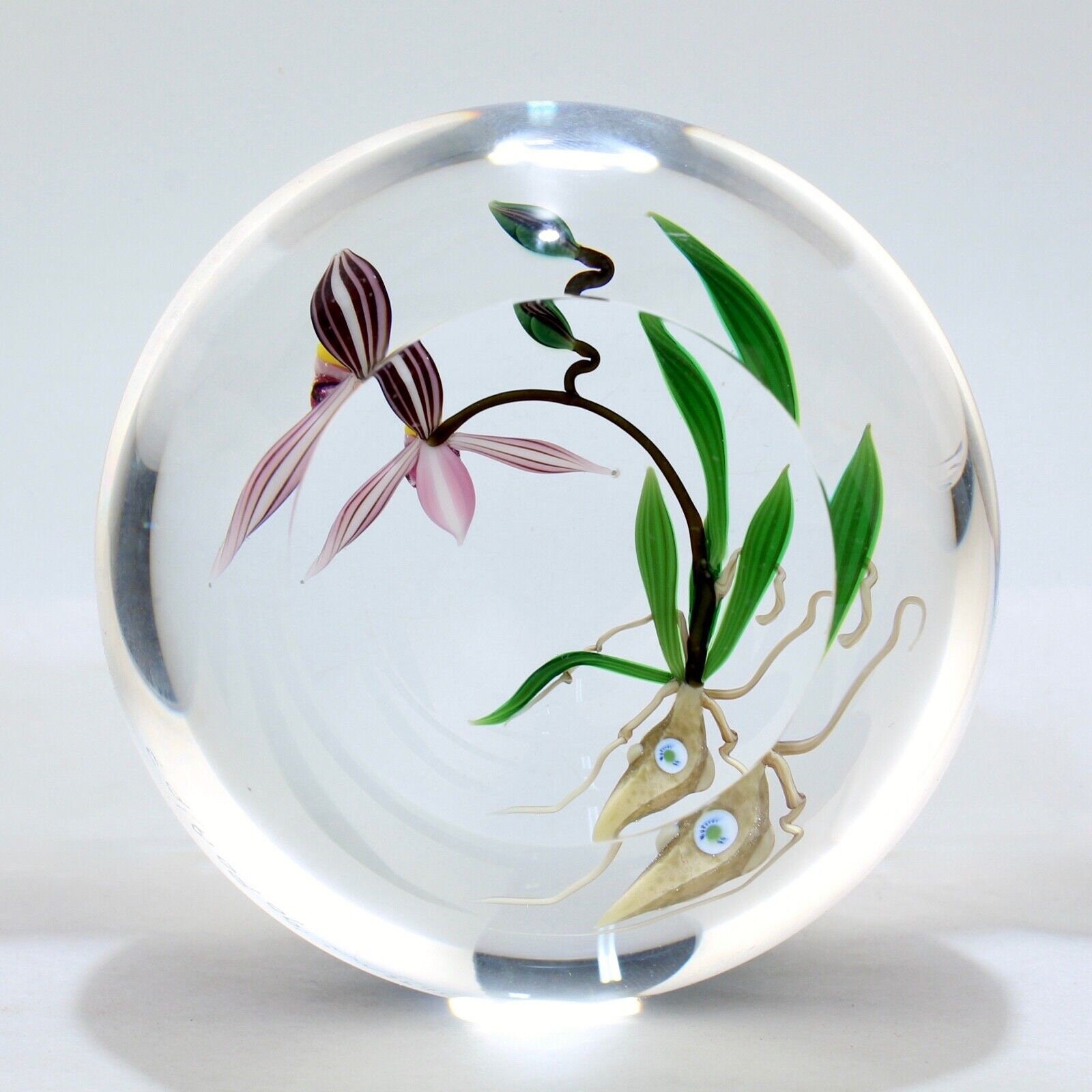 Chris Buzzini Artist-proof Orchid Flower and Roots Art Glass ...