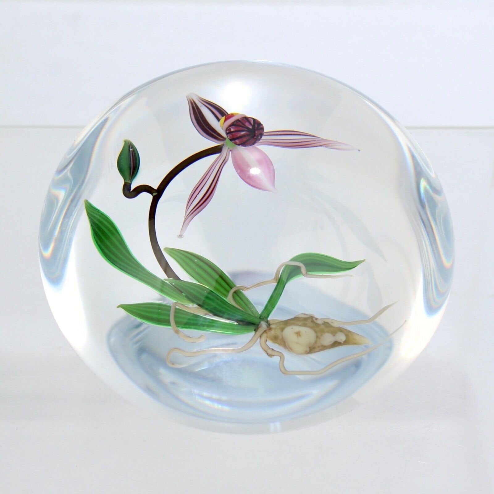Chris Buzzini Artist-proof Orchid Flower and Roots Art Glass ...