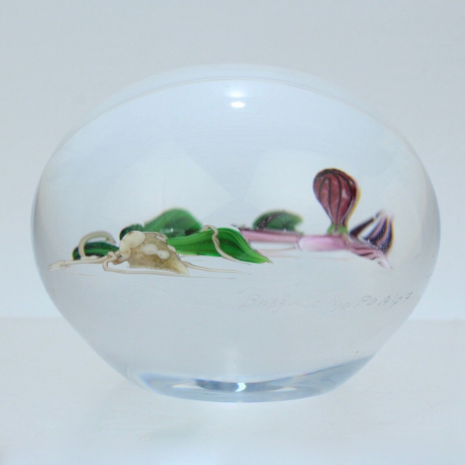 Chris Buzzini Artist-proof Orchid Flower and Roots Art Glass ...