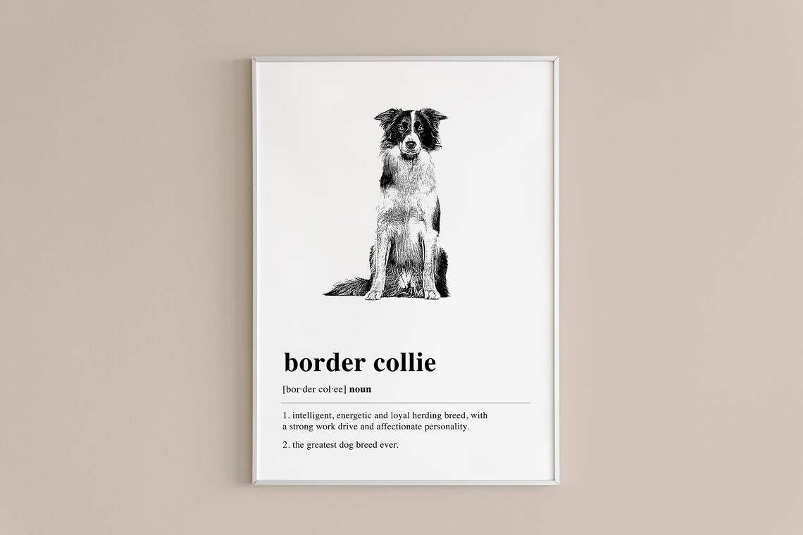 Border Collie Definition Printable Wall Art, Border Collie Gift, Dog ...