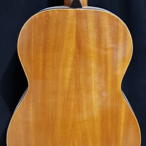 Blueberry Handmade Classical Guitar Nylon Strings Floral Motif - Etsy