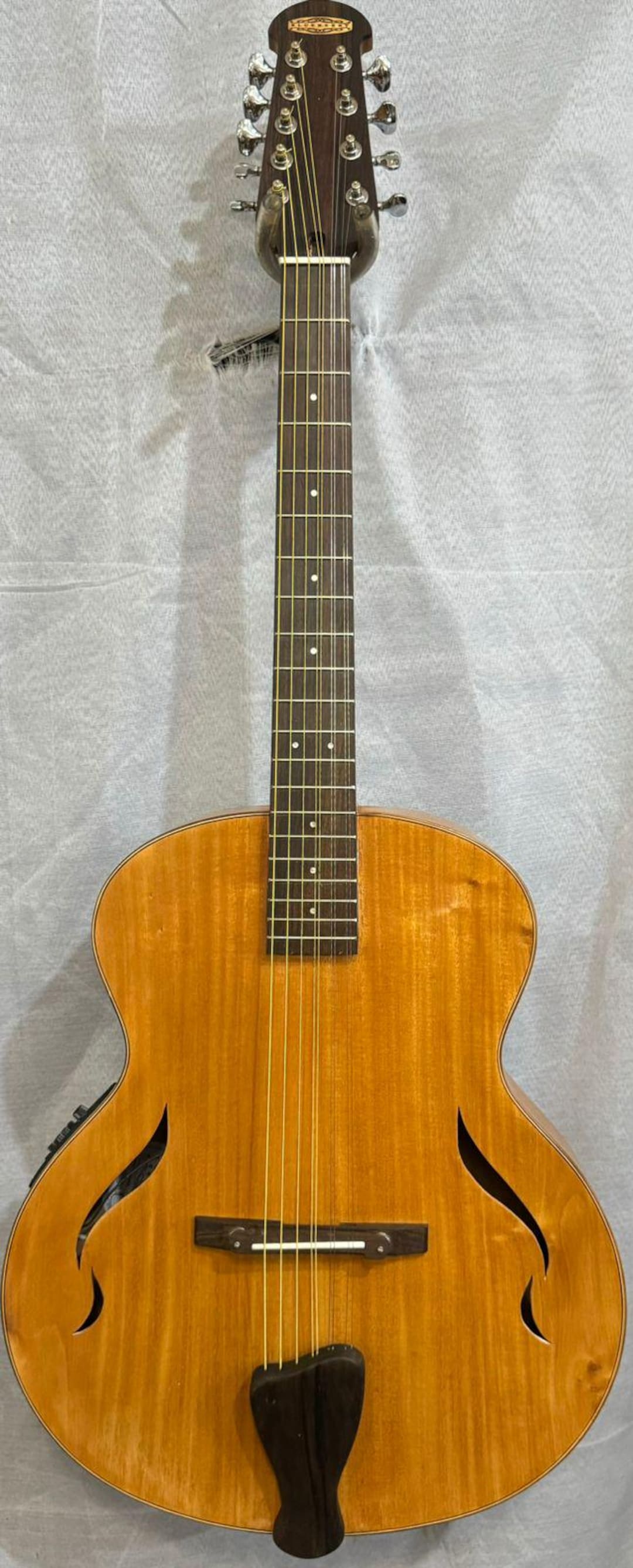 Blueberry Handmade Nine String Archtop Acoustic Guitar - Etsy
