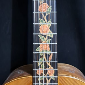 Blueberry Handmade Classical Guitar Nylon Strings Floral Motif - Etsy