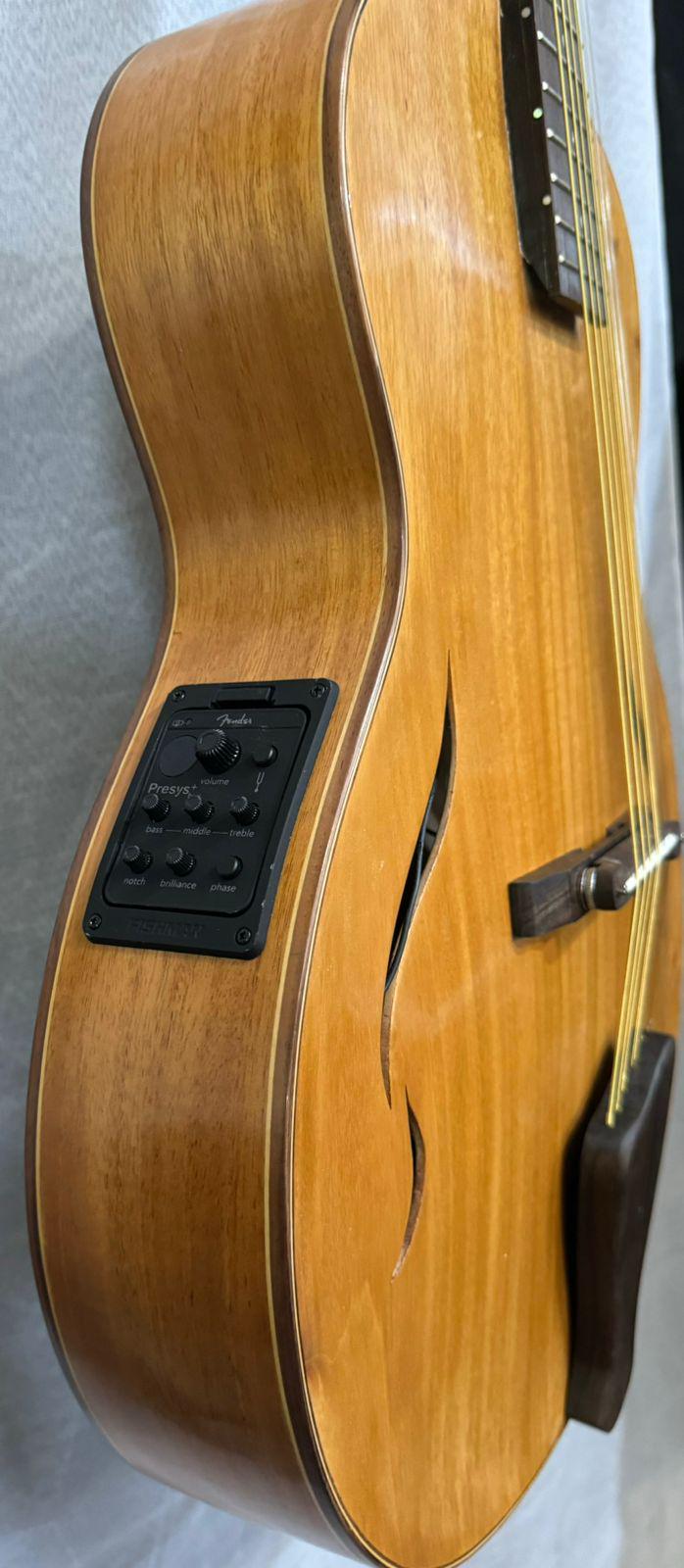 Blueberry Handmade Nine String Archtop Acoustic Guitar - Etsy