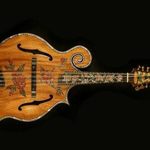 BlueberryGuitarsShop - Etsy